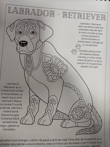 Carte de colorat cu caini, Gasca Vesela de Caini, MAGIA CARTII, A4, 46 ...